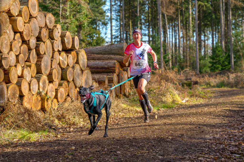 Comment progresser en canicross ? - Idog
